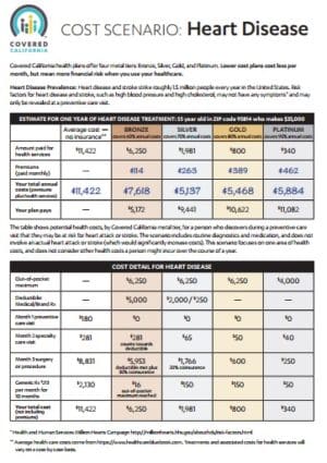 Metal Levels Bronze - Silver - Enhanced -Gold - Platinum csr 2025