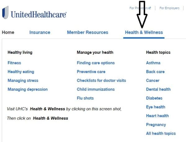 UHC United Health Care Employer E Services Small Group Plans